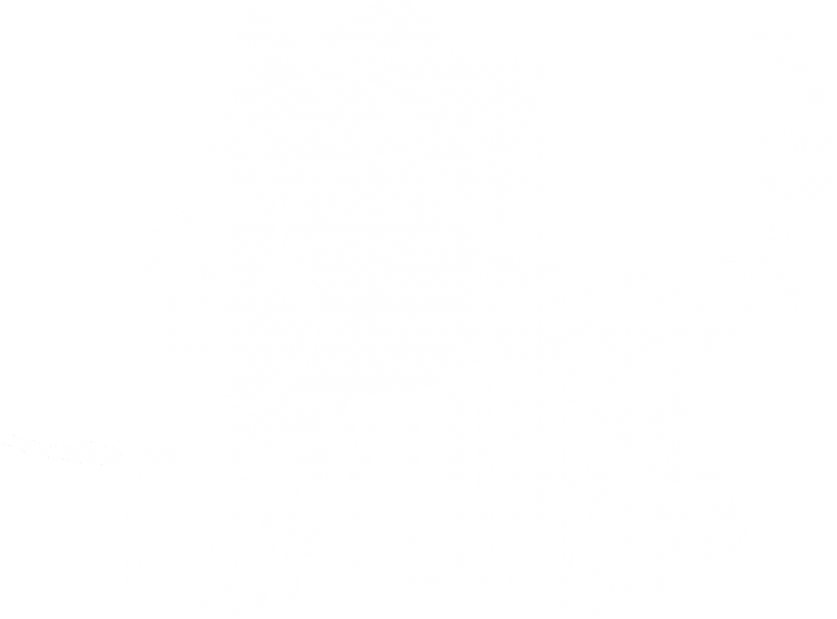 Loopy Lupine – Compostable Hot Cups – Personal Electric Transportation ...